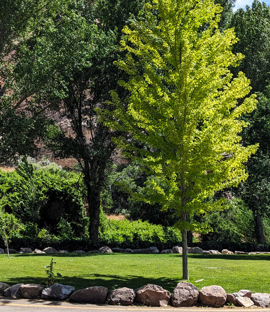 nevada picturesque state park ftr