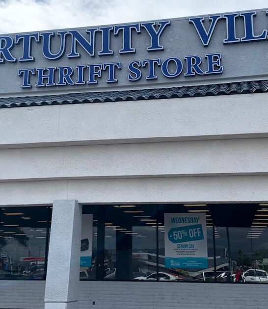 nevada thrift stores selection ftr