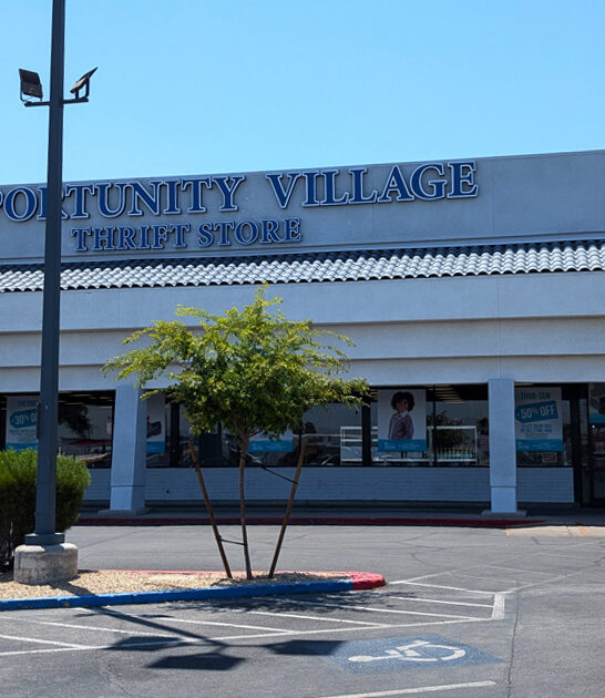 nevada thrift stores shopping ftr