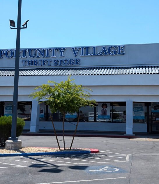 nevada vintage thrift store ftr