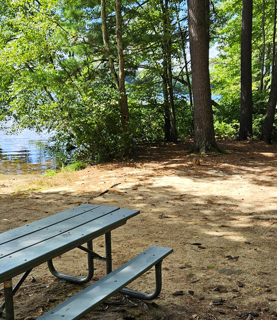 new hampshire getaway park ftr