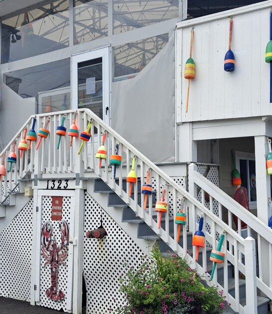 new hampshire rolls lobster ftr