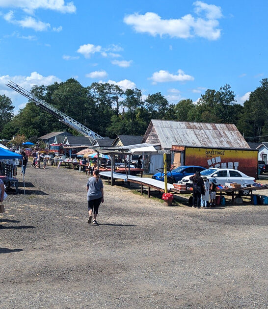 new jersey bargain dreams ftr