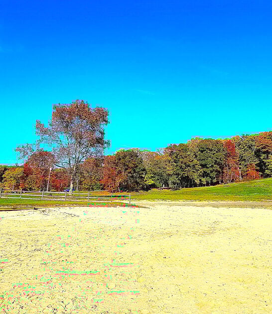 new jersey nature dreamscape ftr