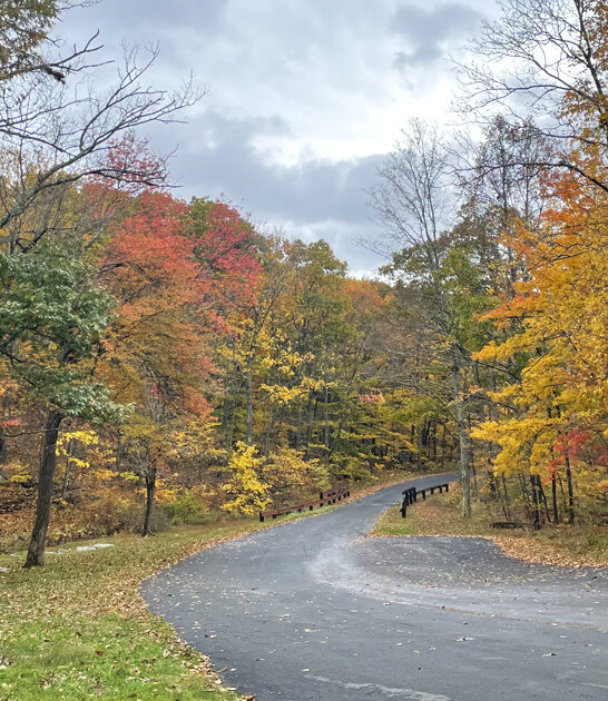 new jersey park retreat ftr