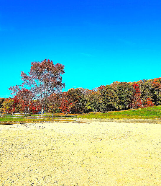 new jersey scenic muse ftr