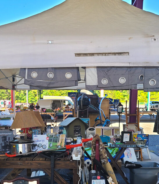 new jersey treasures market ftr