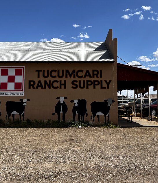 new mexico barbecues restaurants ftr