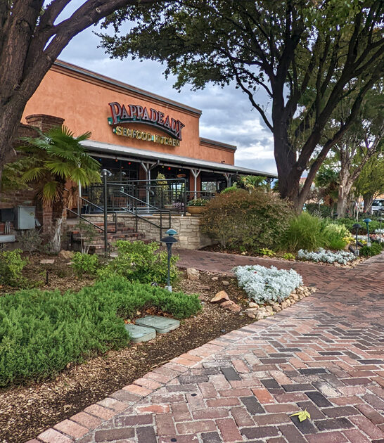 new mexico drive lobsters ftr