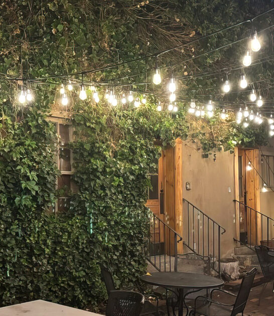 new mexico exquisite rib ftr