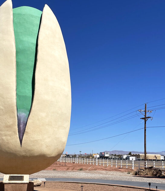 new mexico gigantic attraction ftr