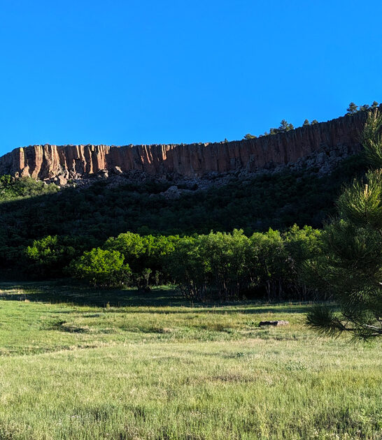 new mexico park getaway ftr