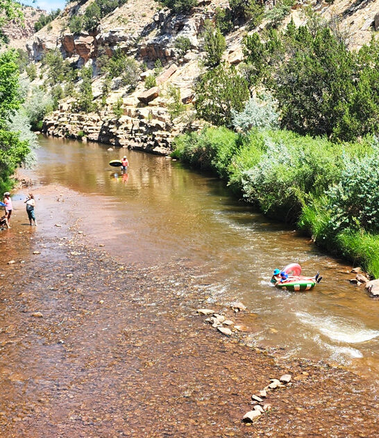 new mexico road trip ftr