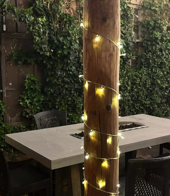 new mexico steakhouse fondue ftr