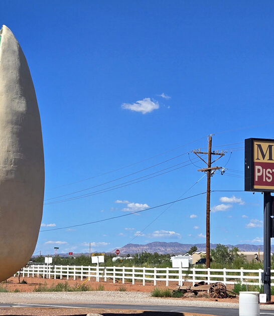 new mexico wacky attraction ftr