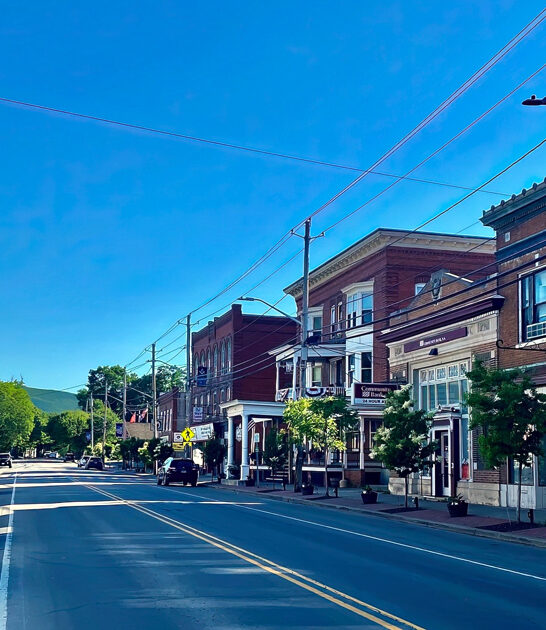 new york flavor journey ftr