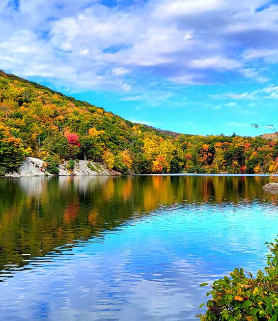 new york park dreamy ftr