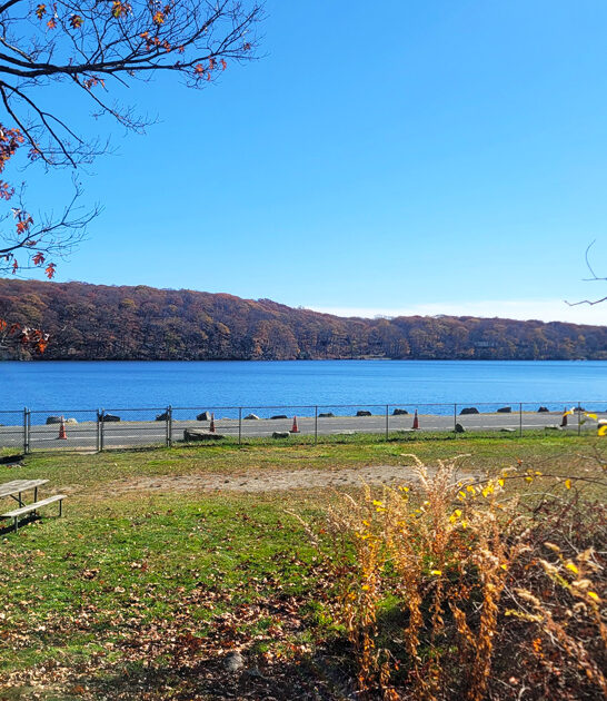 new york park picturesque ftr