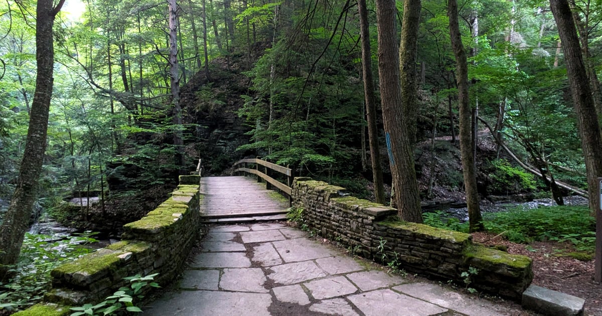This Middle-Of-Nowhere State Park In New York Is The Perfect Place To ...