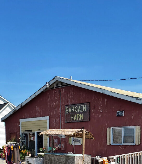 north carolina bargains hunting ftr