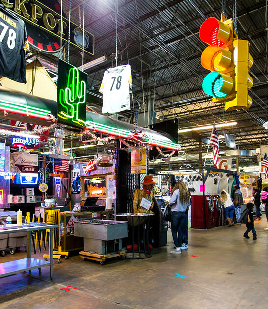 north carolina flea adventures ftr