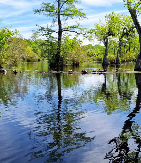 north carolina historic park ftr