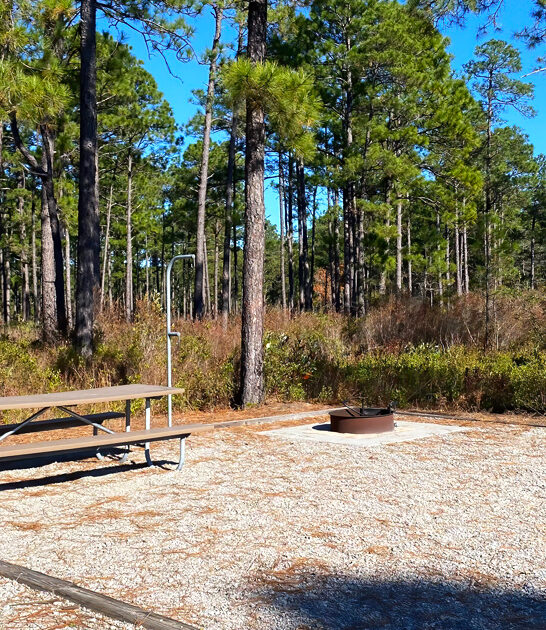 north carolina natural getaway ftr