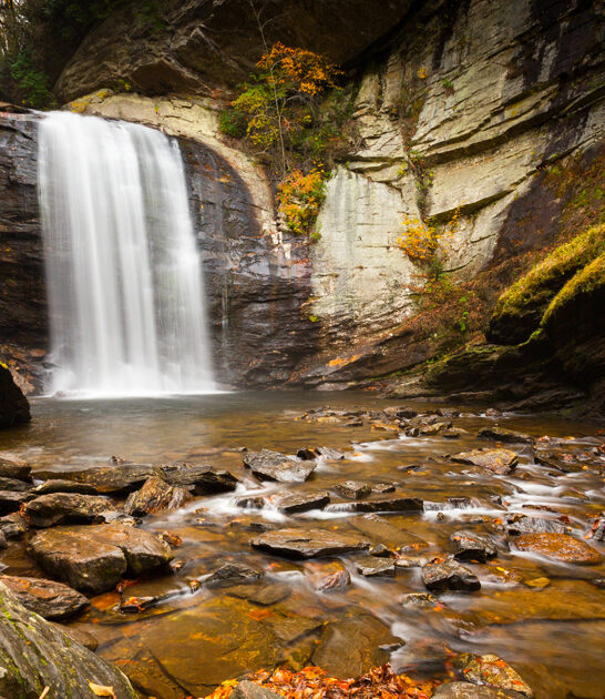 north carolina nature wonder ftr