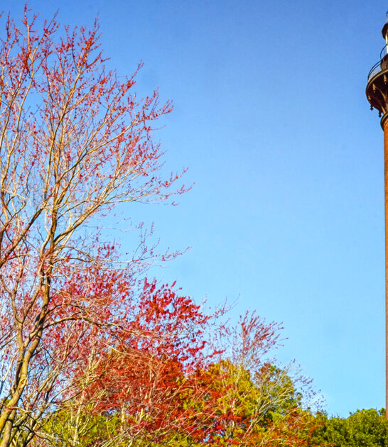 north carolina postcard lighthouse ftr