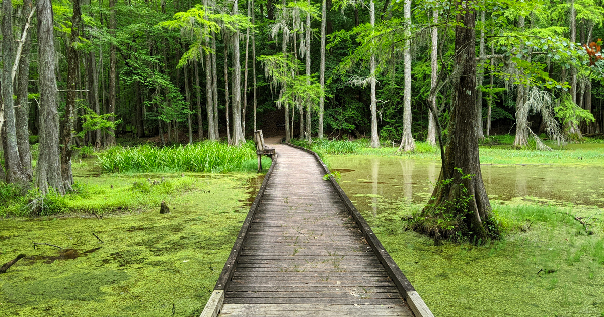 The Remote 700-Acre State Park In North Carolina That's Absolutely ...