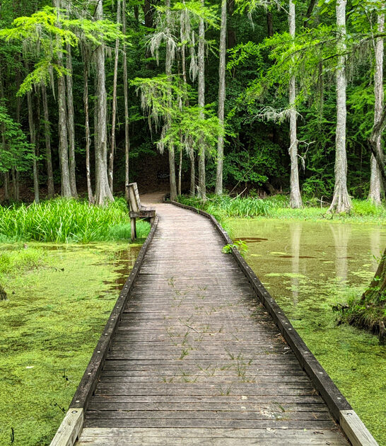 north carolina secret park ftr