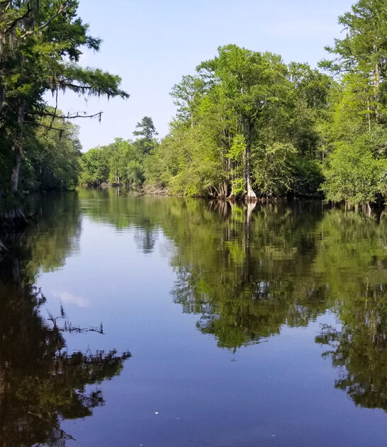 north carolina serene park ftr