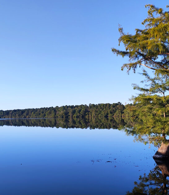 north carolina wilderness retreat ftr