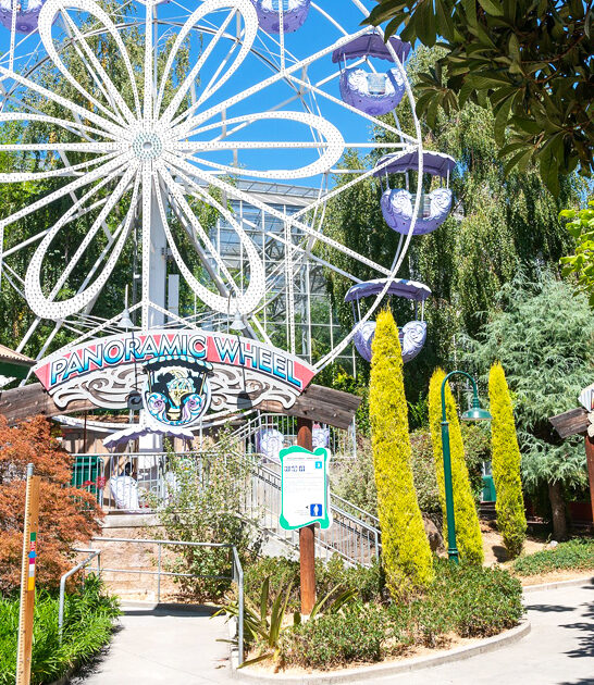 nostalgic amusement california road ftr