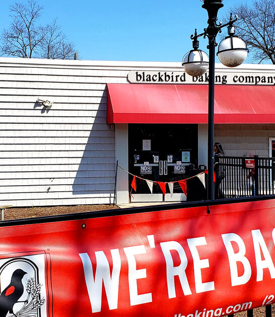 ohio bakeshop coconut macaroons ftr