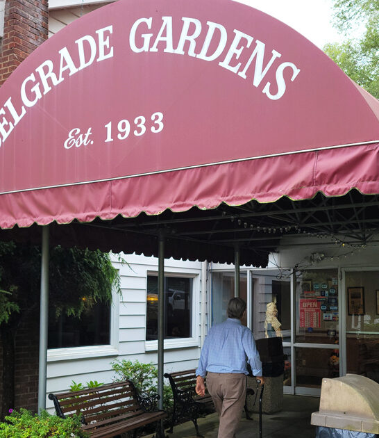 ohio crispy fried chicken ftr