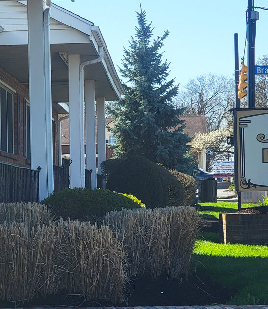 ohio delectable apple fritters ftr