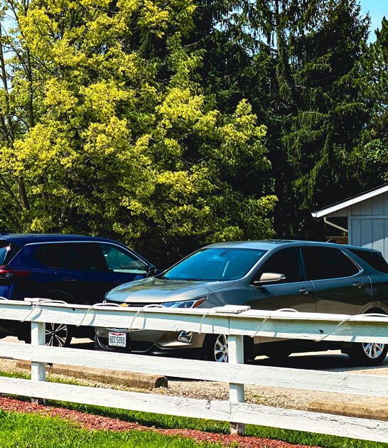 ohio restaurant fried pickles ftr