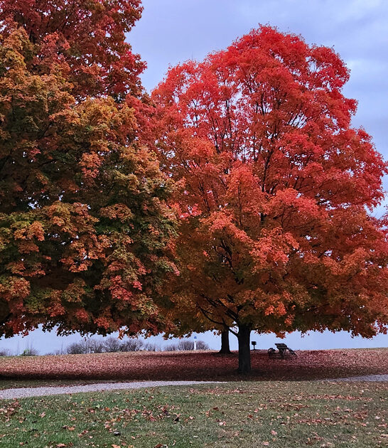 ohio state park astounding ftr