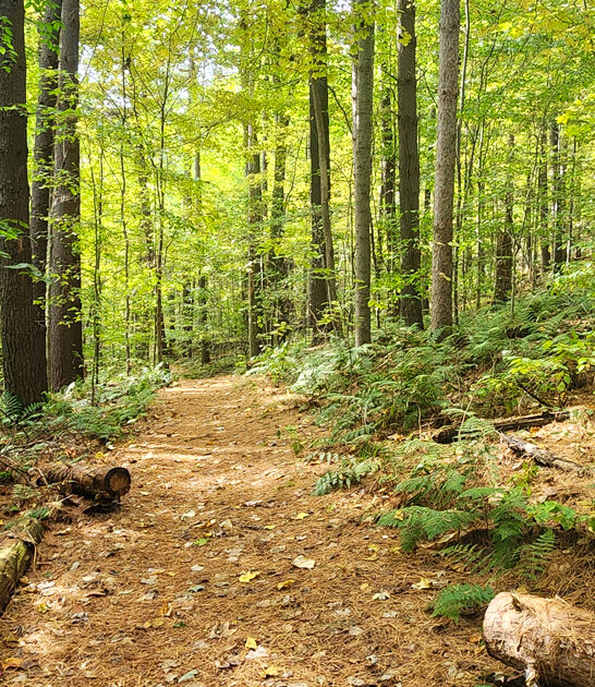 ohio state park forgotten ftr