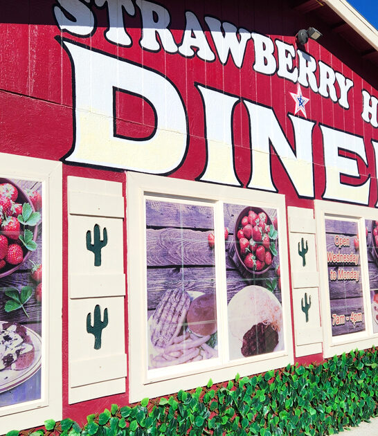 old school nevada diners ftr