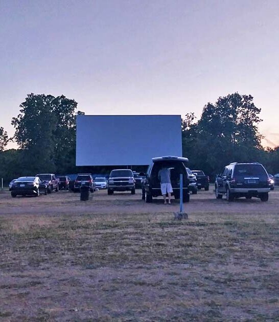old timey theaters michigan ftr