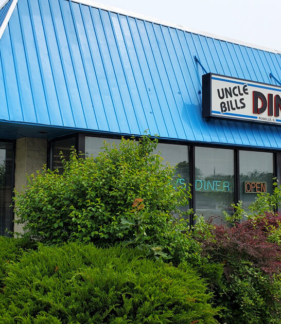 omelet diner denver illinois ftr