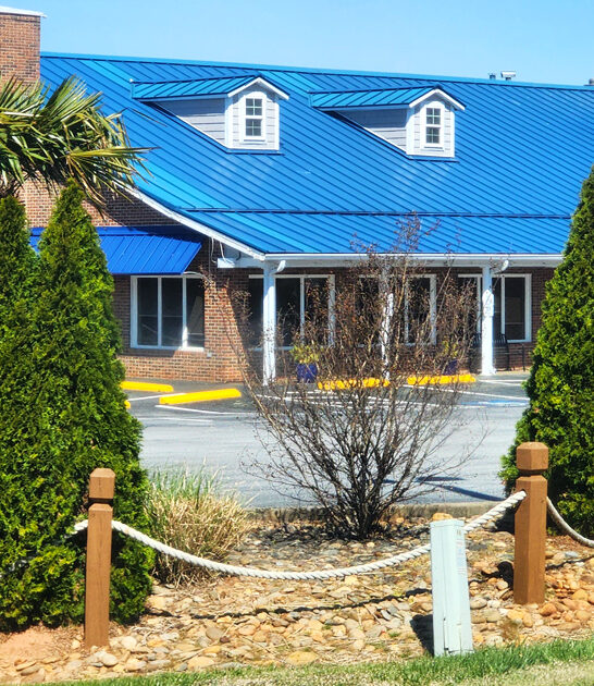 onion blooming south carolina ftr