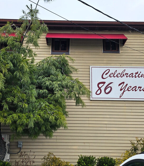 onion soup new jersey ftr
