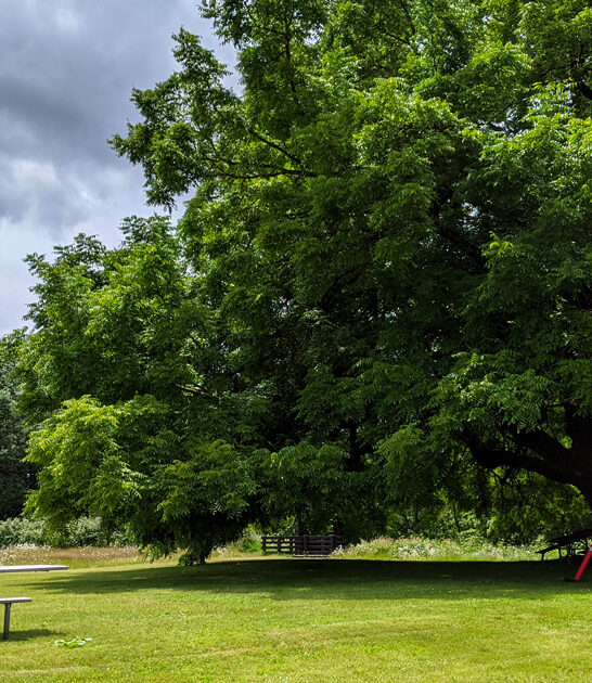 oregon postcard state park ftr