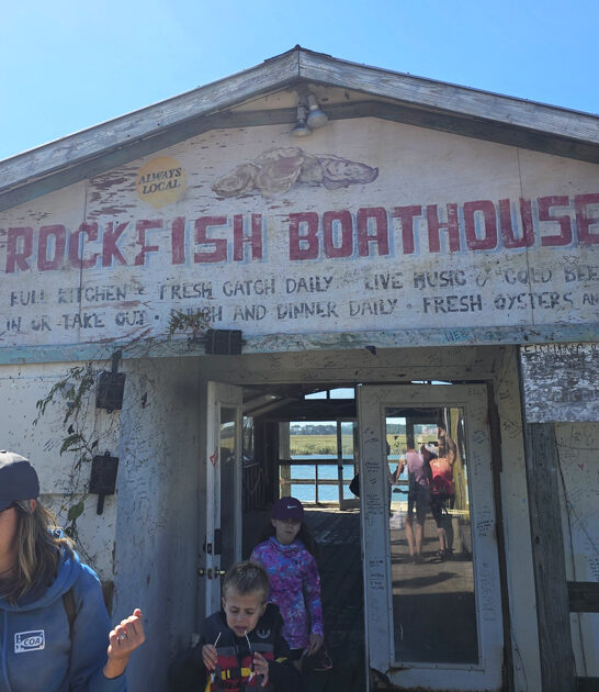 oysters south carolina joint ftr