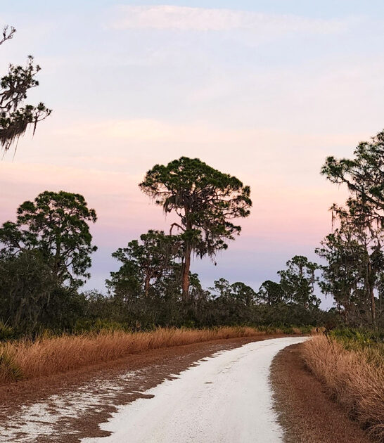 park florida melt stress ftr