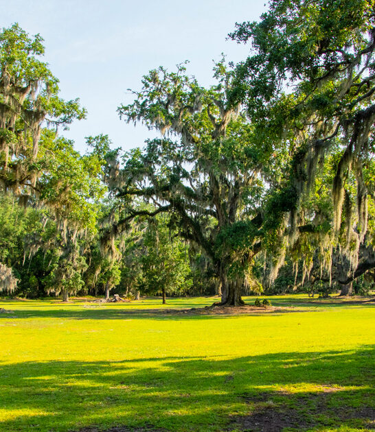 park louisiana worries disappear ftr