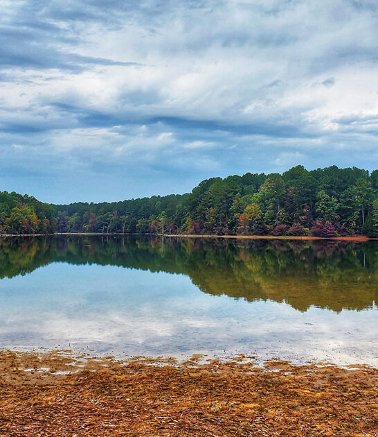 park mississippi perfect getaway ftr